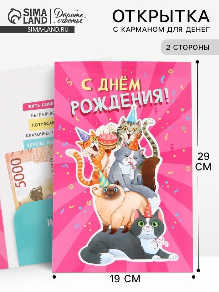 Открытка поздравительная с карманом для денег С Днём рождения , коты, 19 29 см