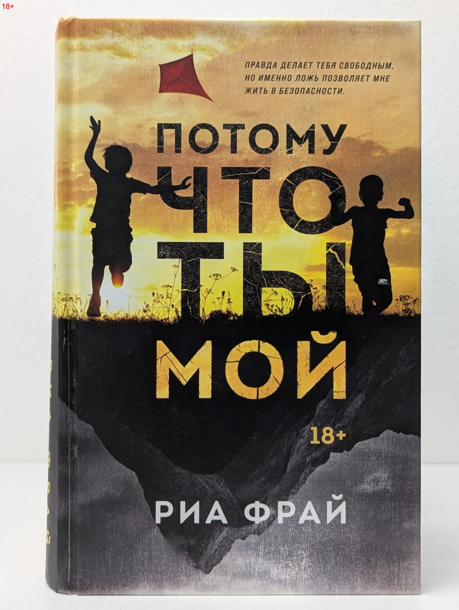 Грязные секреты. Триллеры о семейных тайнах. Потому что ты мой Фрай Риа 2022