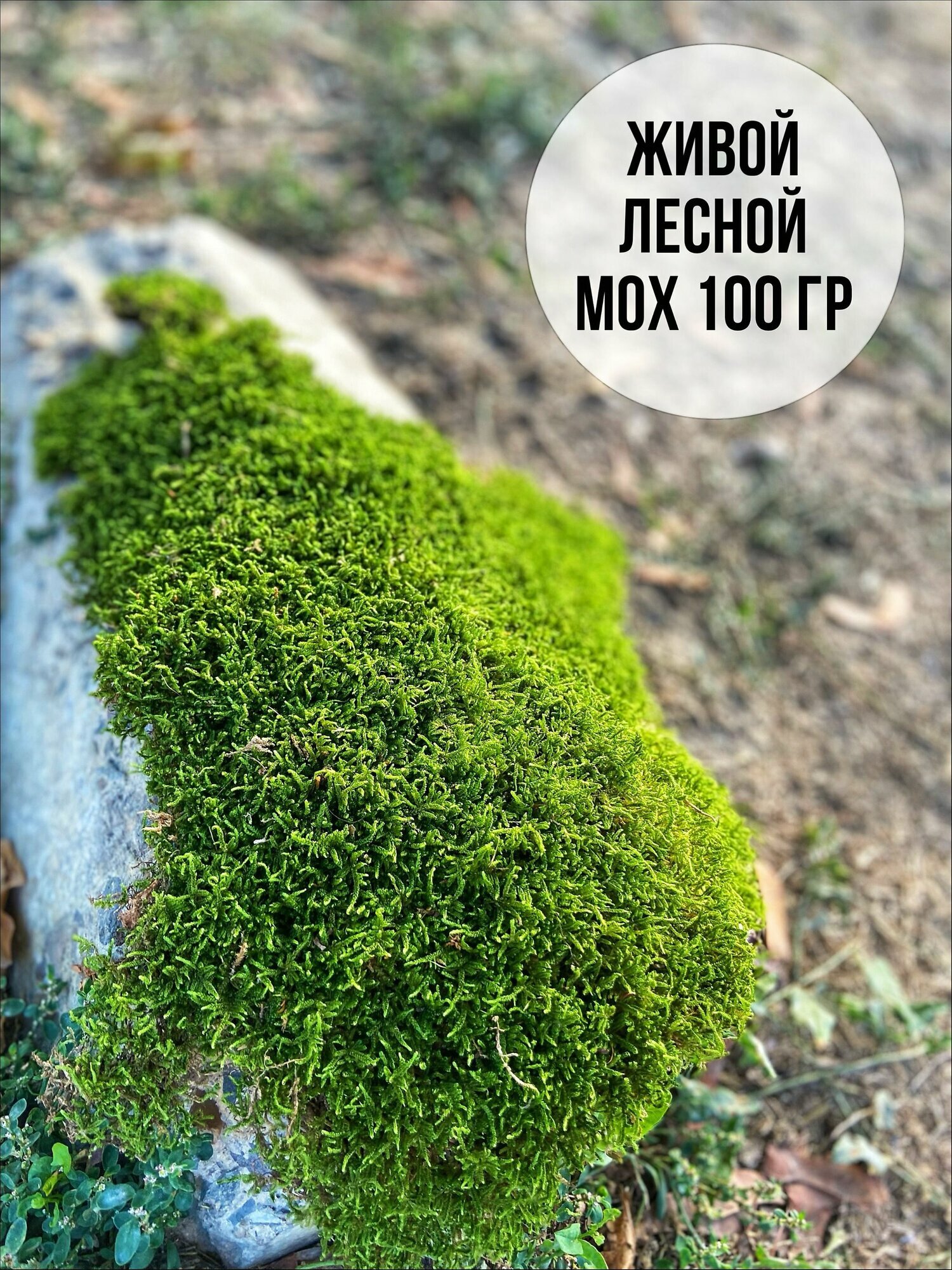 Мох для террариумов и аквариумов, натуральный зелёный цвет, 100 г