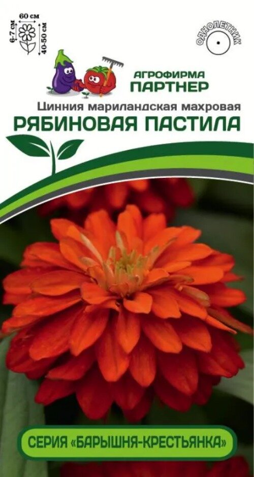 Семена цинния партнер Рябиновая пастила, мариландская махровая, 4 шт