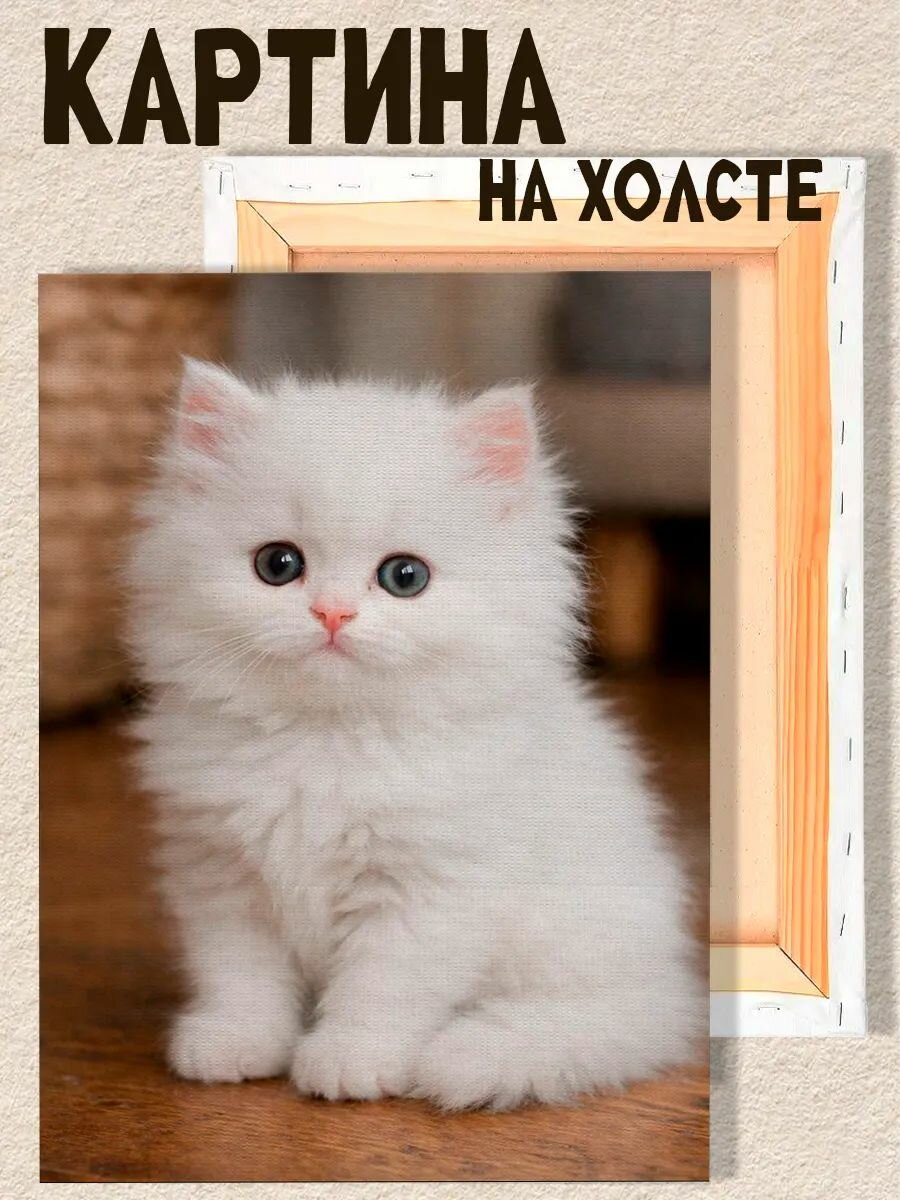 Картина на стену Милые котики, на подрамнике, 1шт, 25х17 размер.