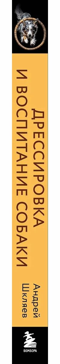 Практическое руководство ЭКСМО "Дрессировка и воспитание собаки. 2-е издание", Шкляев А. Н, 2025 г.