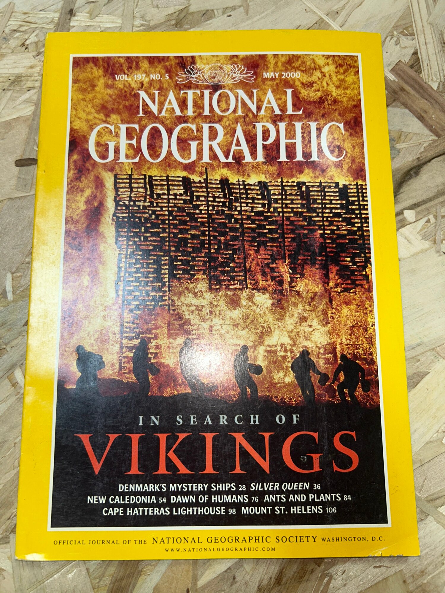 National Geographic за 2000 год (Vol. 197, No. 5) In Search of Vikings