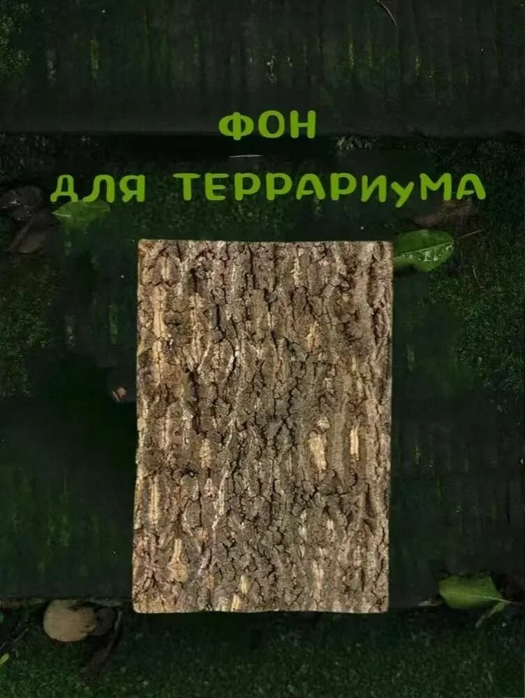 Для животных фон для террариума дерево растение темно-коричневый размер 30x40 см 1 шт
