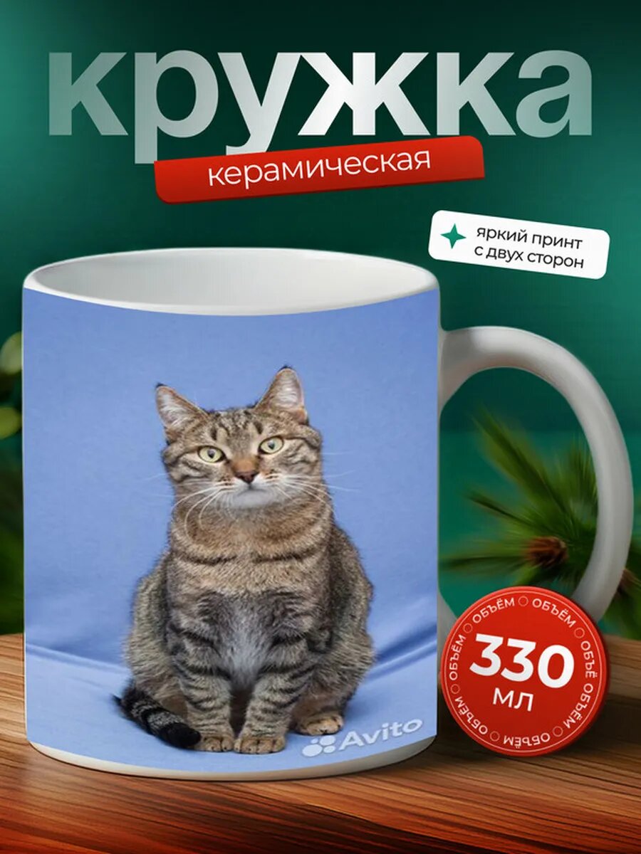 Кружка Ангорский полосатый кот 35,