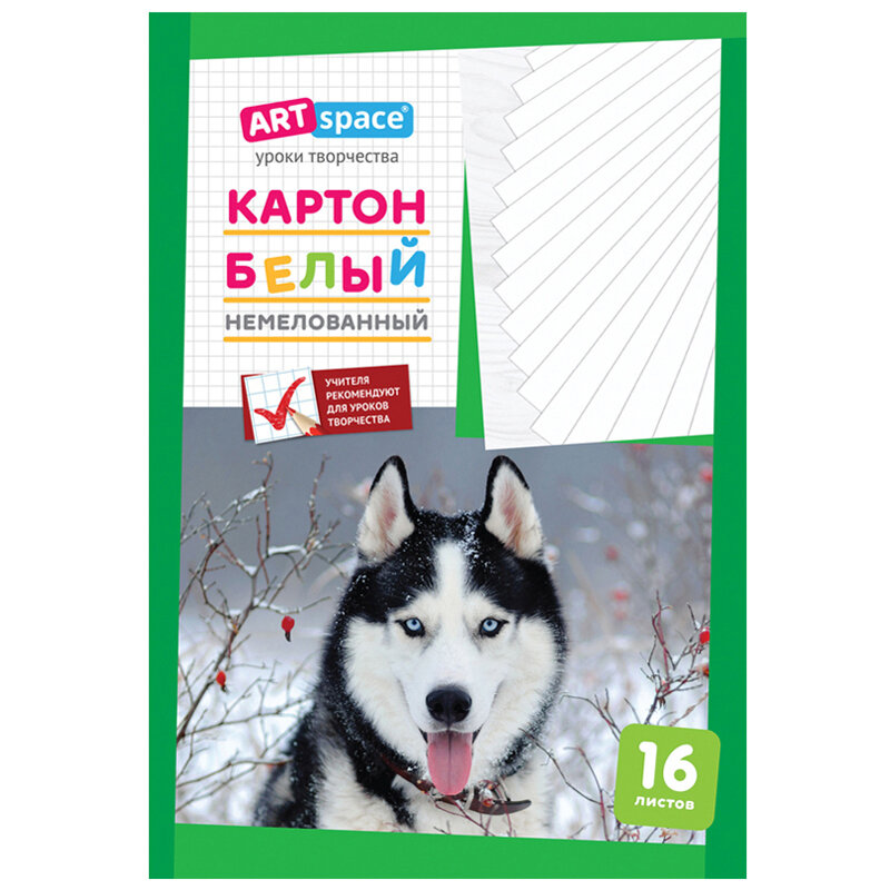 Картон белый А4, ArtSpace, 16 л, немелованный, в папке