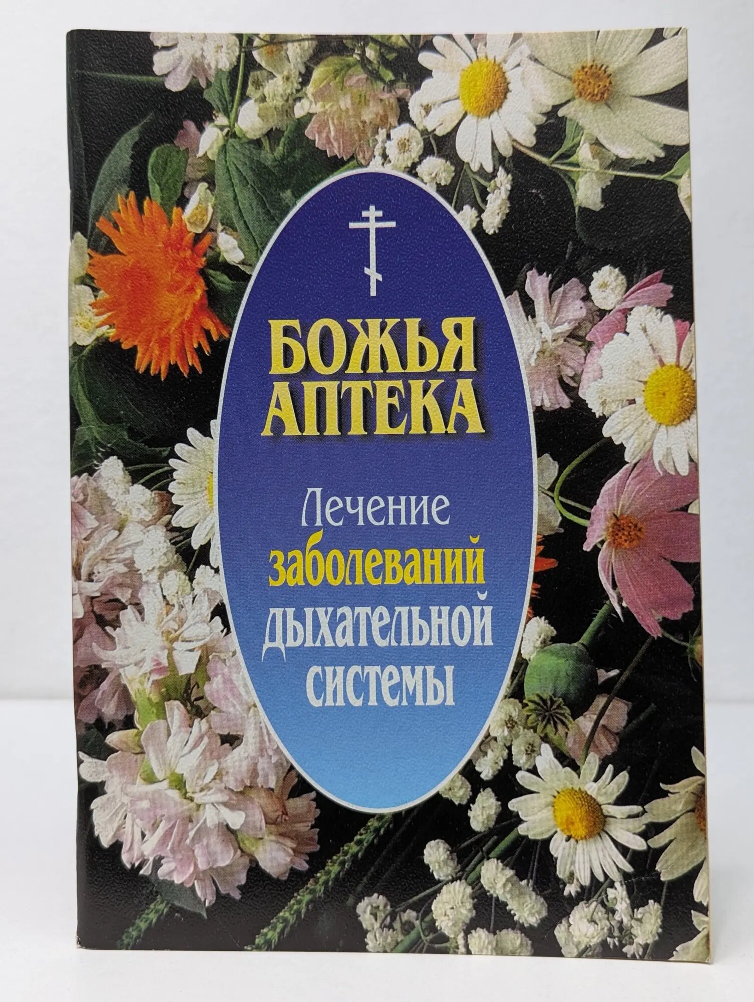 Божья аптека. Лечение заболеваний дыхательной системы Киянова Ирина Васильевна (сост.) 2006