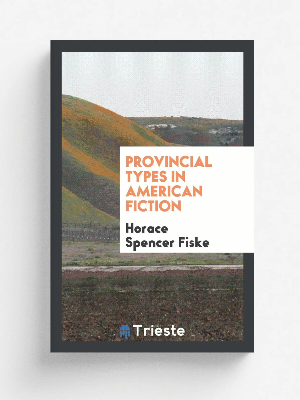 Provincial types in American fiction
