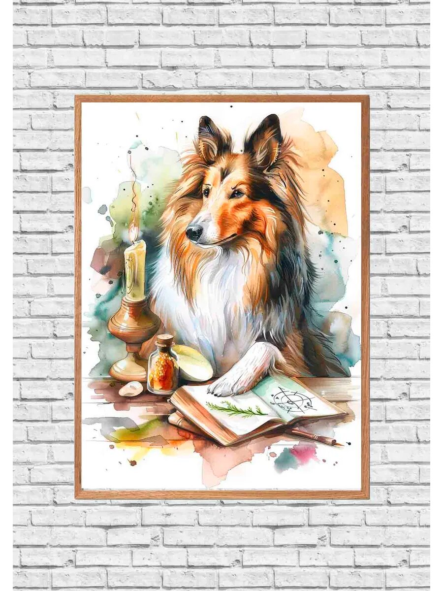 Шотландский колли-собака-астролог 2, Плакат 30x42см
