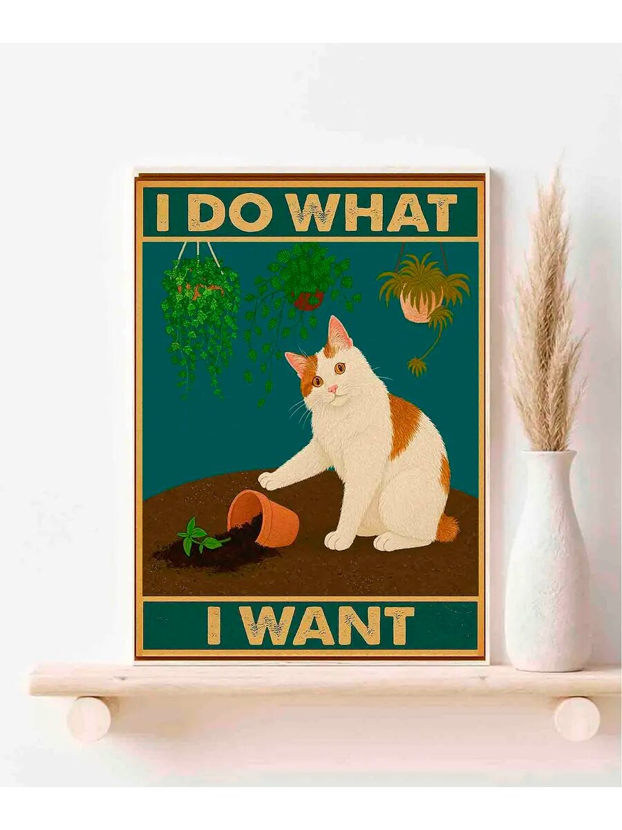 Турецкий Ванский кот, I Do What I Want, Плакат 30x42см