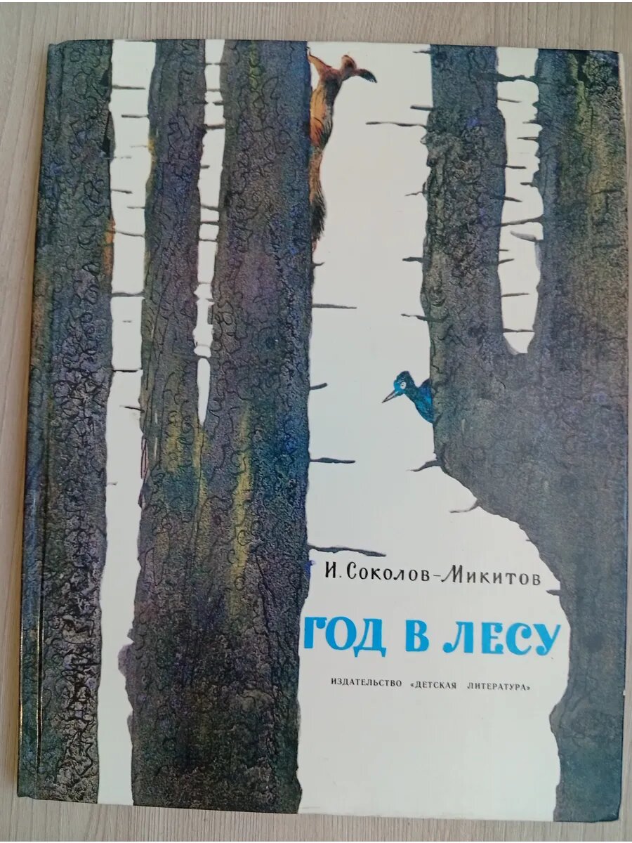 Год в лесу