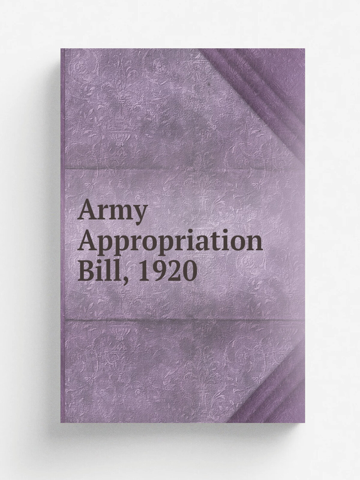 Army Appropriation Bill, 1920