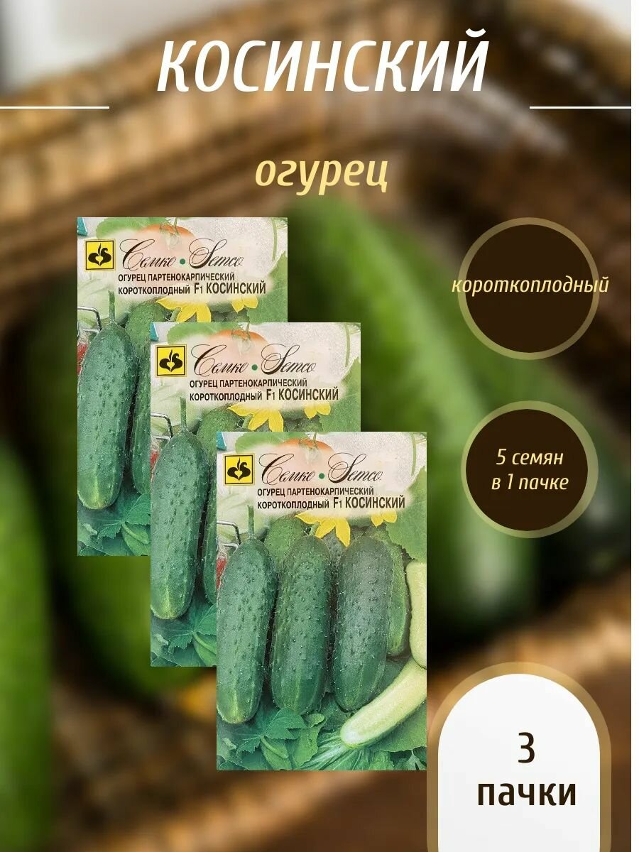 Огурец Косинский-3 пачки по 5 семян