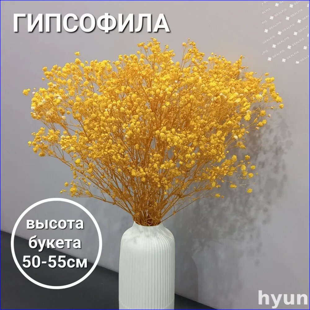 Стабилизированные цветы Гипсофила, 60 см, 80 гр, 1 шт