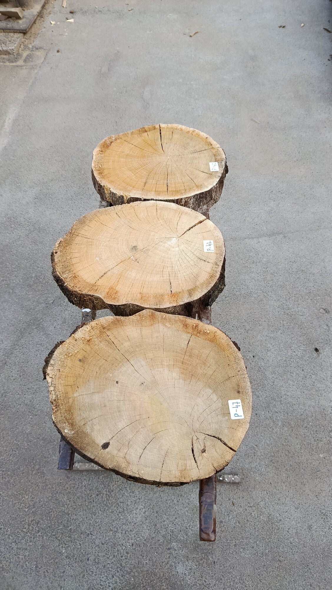 Спил из массива дуба , комплект из 3-х штук 34х26х4см,34х27х5см,31х27х4см(Р47) высушенный и не фрезерованный, влажность 8-10%