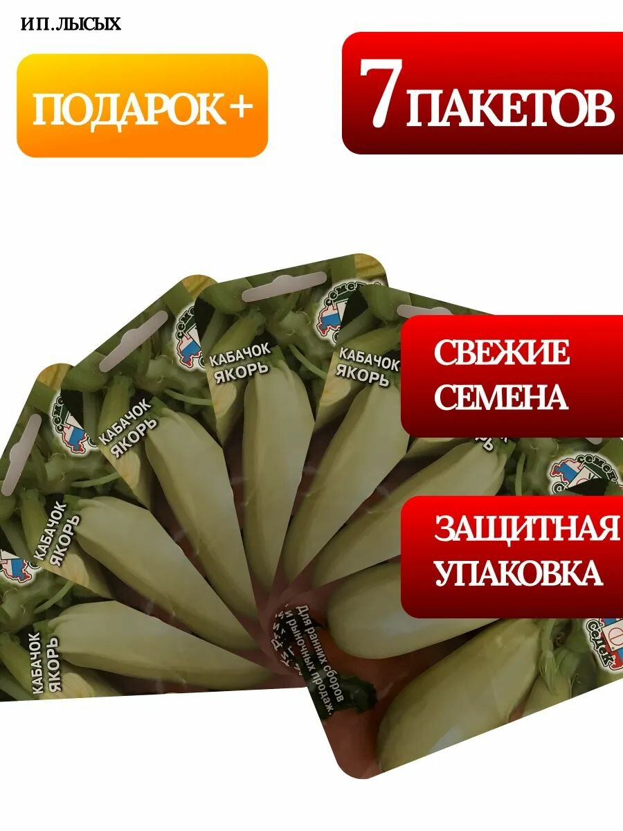 Семена Кабачок "Якорь"
