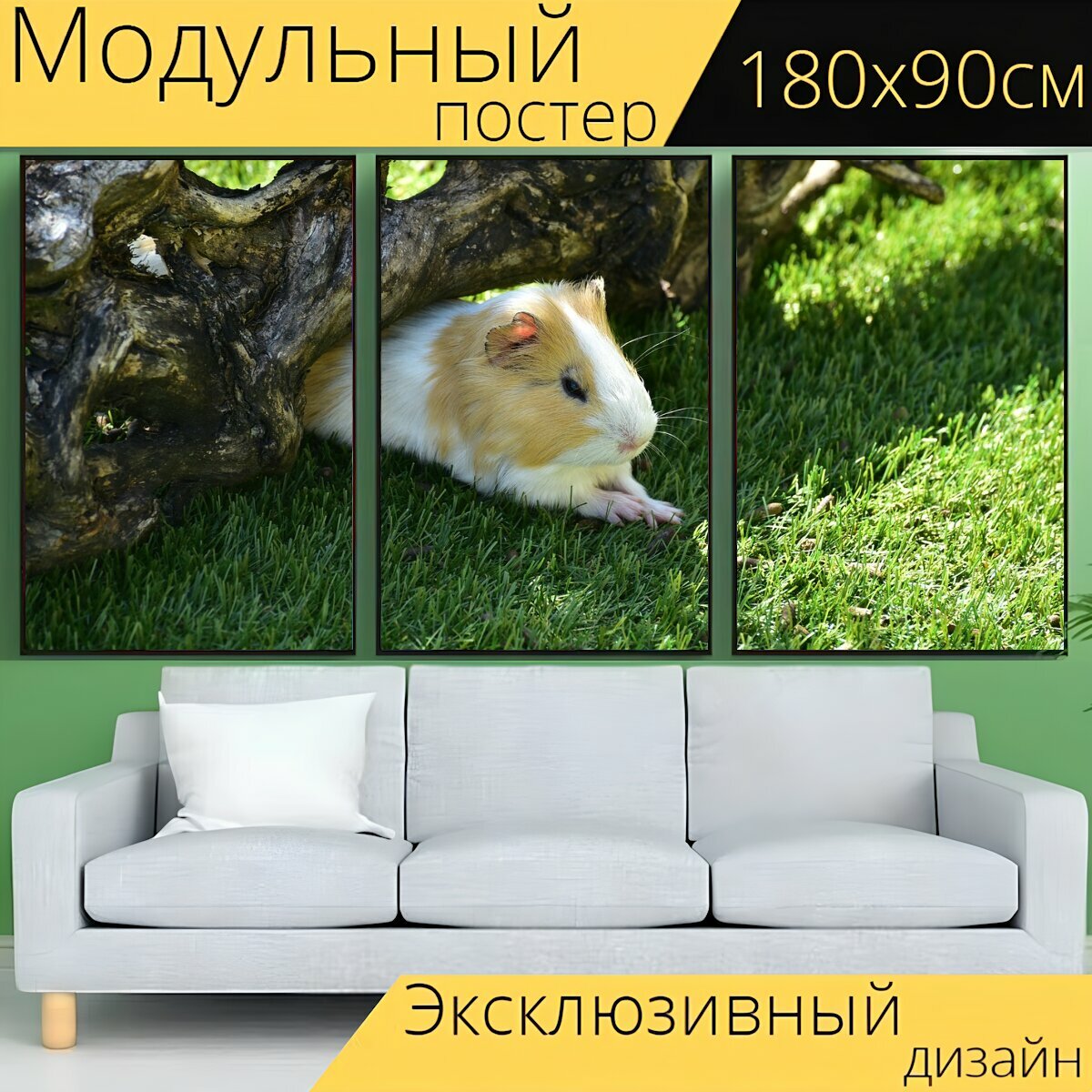 Модульный постер "Морская свинка, домашняя морская свинка, милый" 180 x 90 см. для интерьера на стену в тубусе