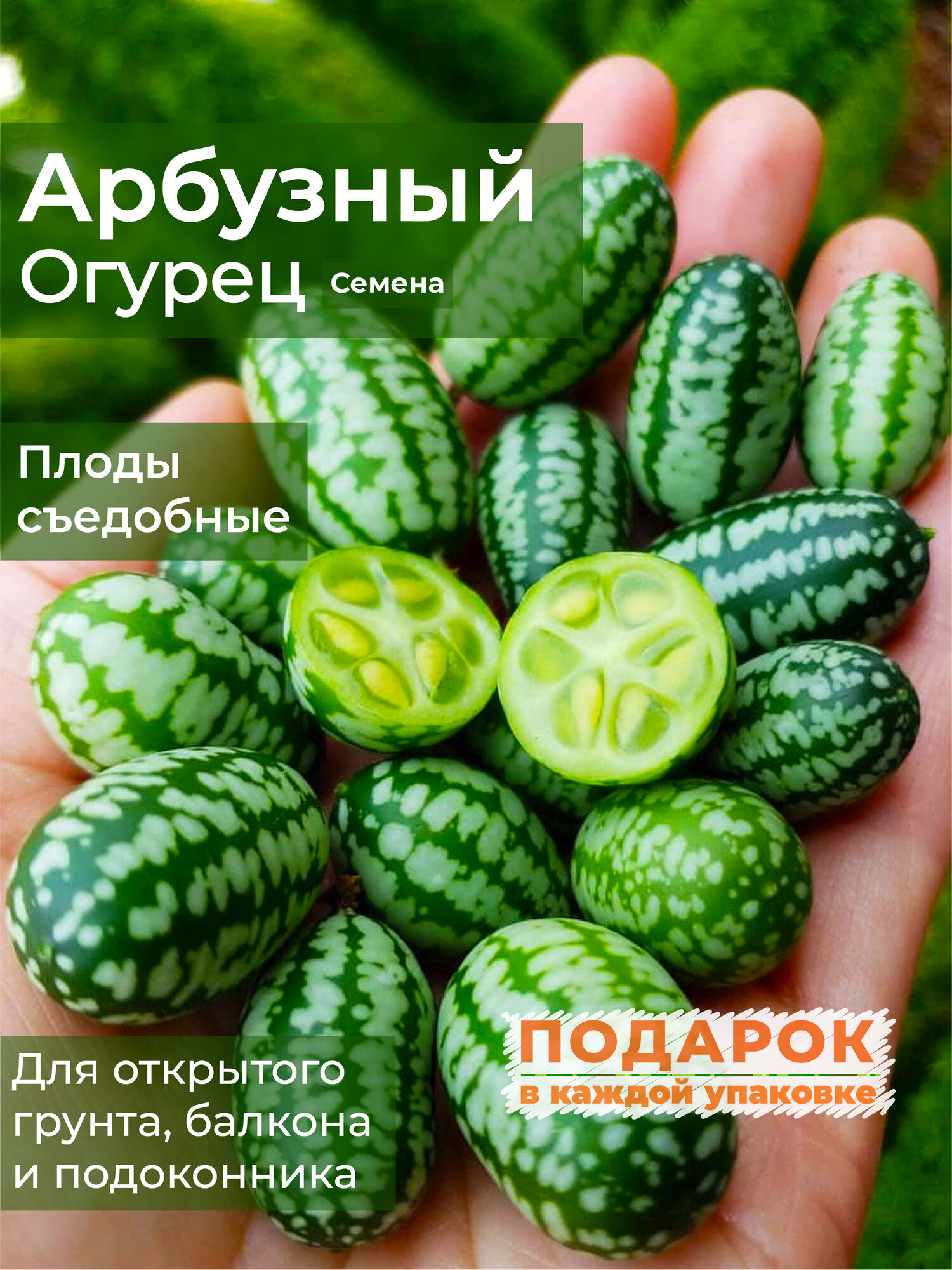 Арбузный огурец Мелотрия, Семена, 20 шт, семена декоративных растений, семена овощей