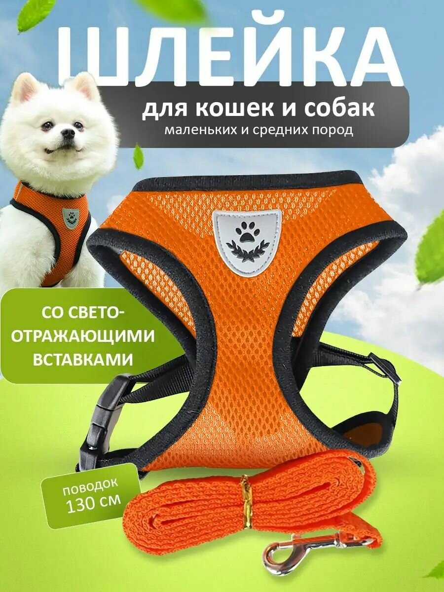 Шлейка прогулочная с поводком для кошек и мелких собак, деним, светоотражатели,