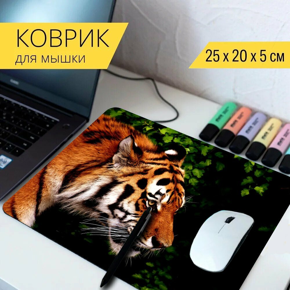 Коврик для мыши с принтом "Тигр, хищник, шерсть" 25x20см.