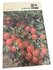 Алыча.