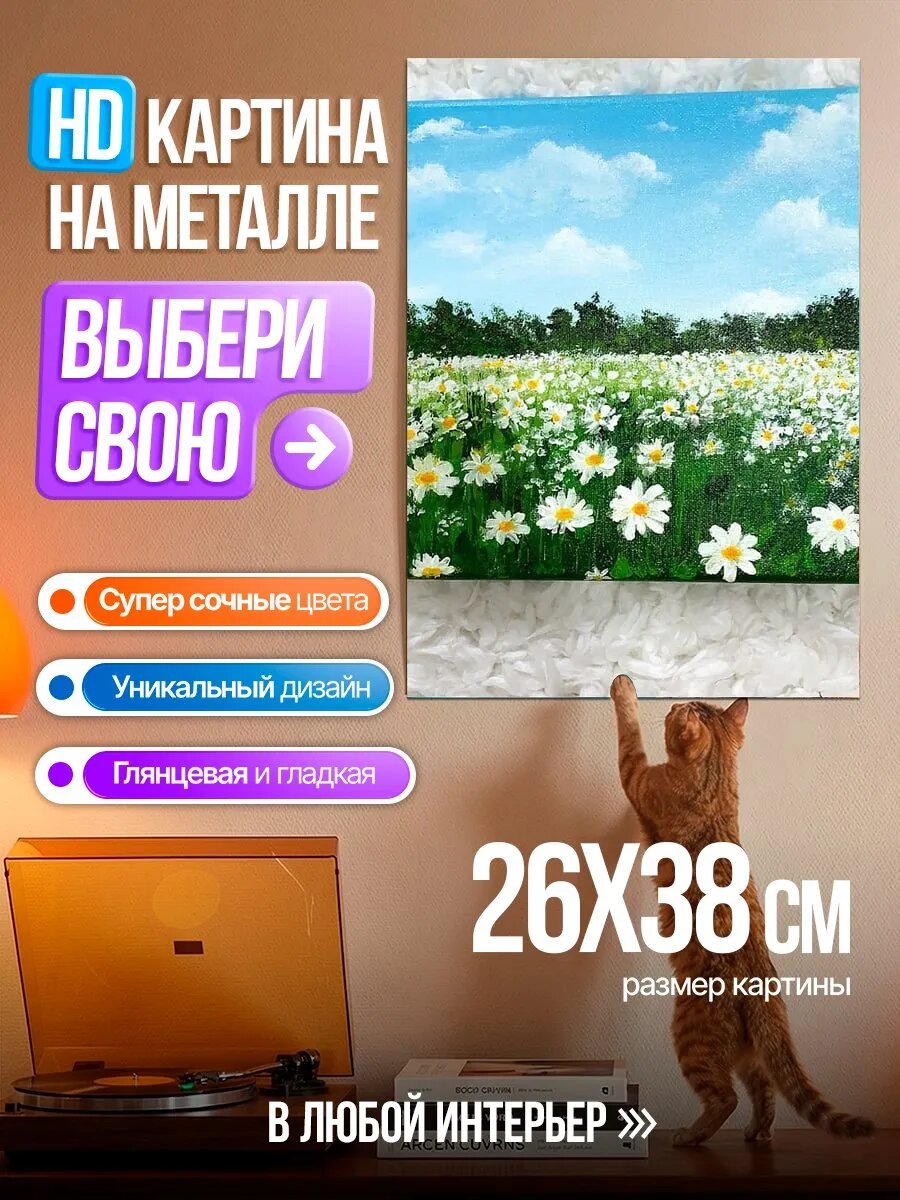 Картина на HD металле Поле ромашек