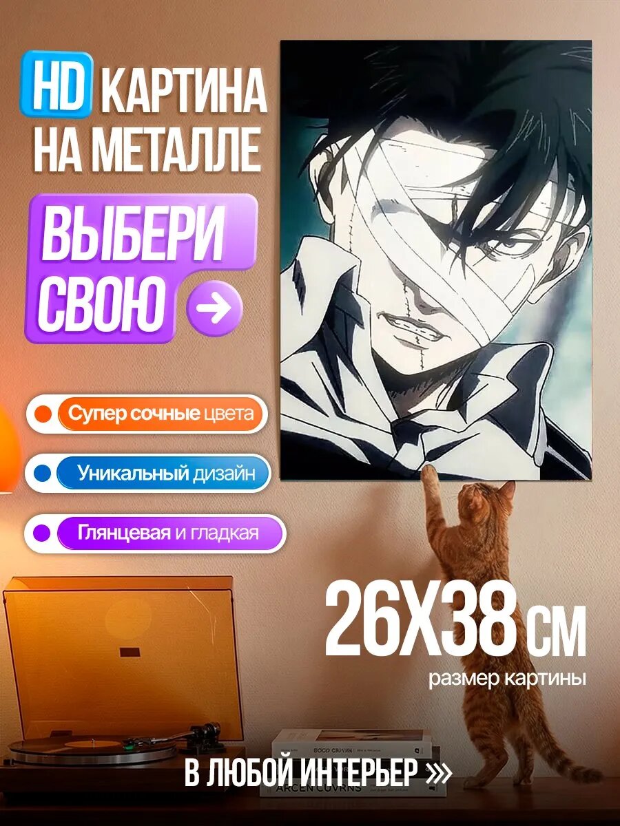 Картина на HD металле Леви Аккерман