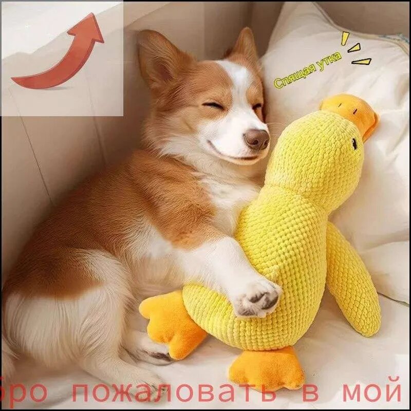 Игрушки для домашних животных, плюшевые игрушки, издающие звуки