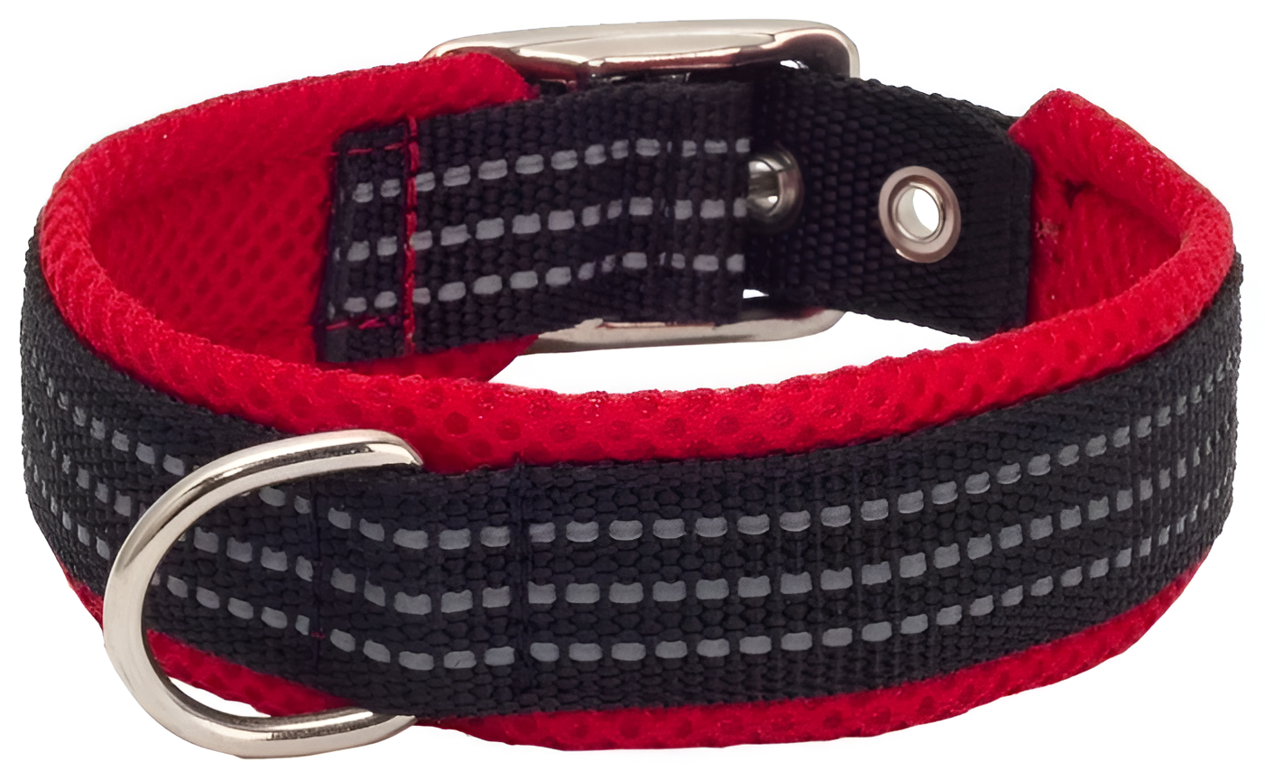 Каскад ошейник нейлоновый с мягкой подкладкой 39-45 см, Красный
