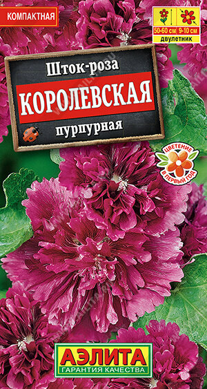 Семена аэлита "Шток-Роза Королевская Пурпурная", многолетние, высота 60см, 10 шт.