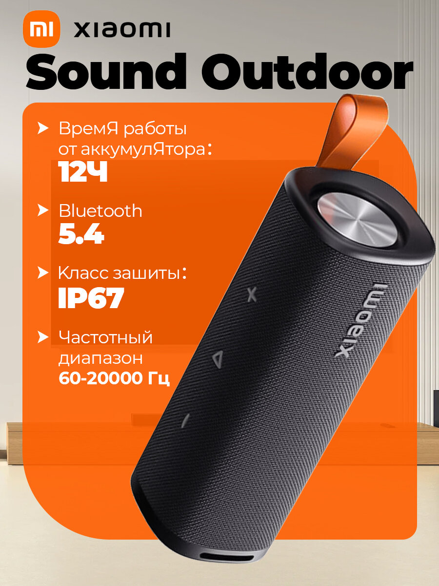 Портативная колонка Xiaomi Sound Outdoor 30W,(QBH4261GL), черный