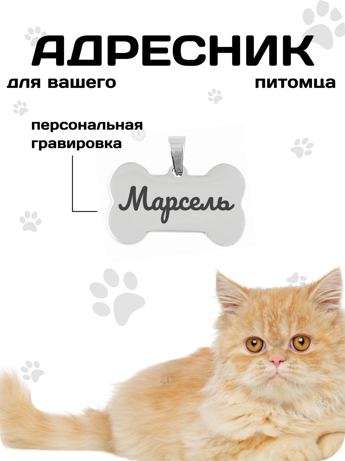 Адресник с гравировкой для мини собак / жетон для кошек, "косточка", на ошейник, серебро, 30 мм x 20 мм