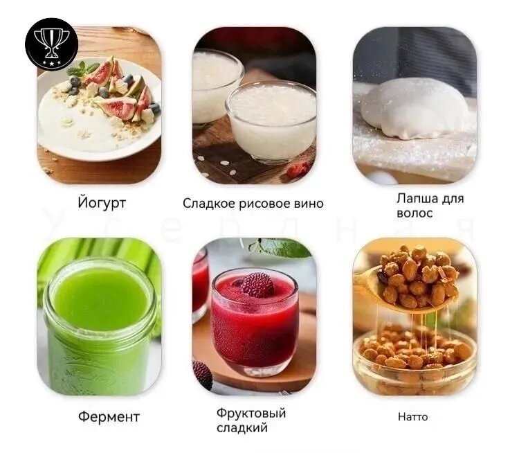 GM Сыроварня для приготовления йогурта/ризового вина/натто/фруктового уксуса, пищевая нержавеющая сталь, электронное управление, черный — фото 1