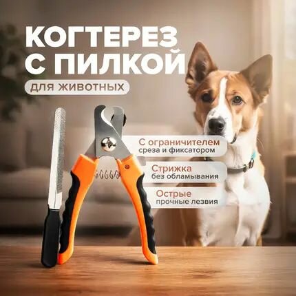 Когтерез с пилкой для животных, 16х5 см, нержавеющая сталь, полипропилен, позволяет аккуратно подстричь когти питомцу, минимизируя риск повреждения мягких тканей.