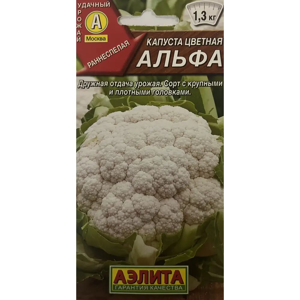 Капуста цветная Аэлита Альфа – семена однолетних растений для солнечного участка