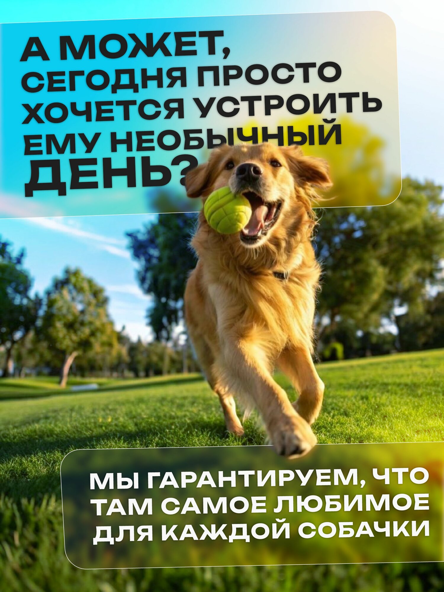 Сюрприз бокс питомца "Собака". Подарок домашнему питомцу. Игрушка хвостатому — фото 1