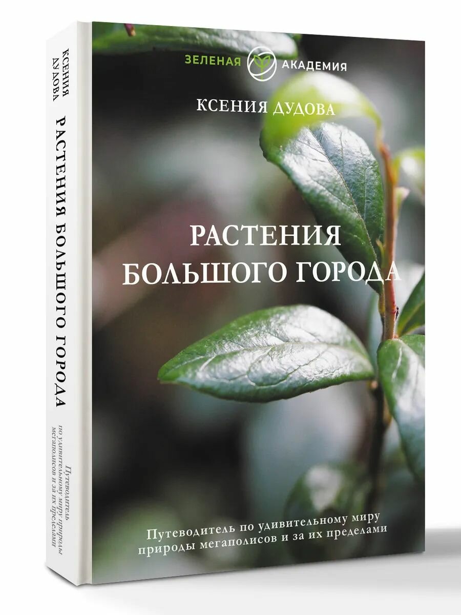Растения большого города. Путеводитель по удивительному