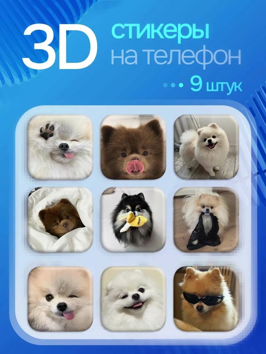 3D стикеры на телефон Шпиц