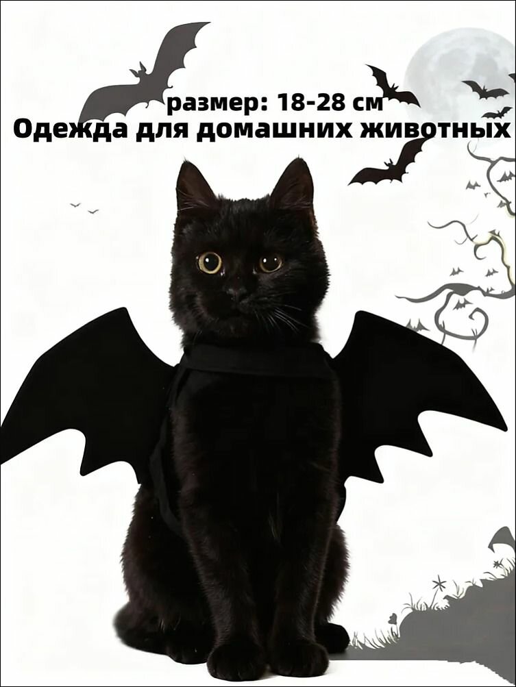 Милый костюм для кошек в форме крыльев летучей мыши/Костюм кошки на Хэллоуин