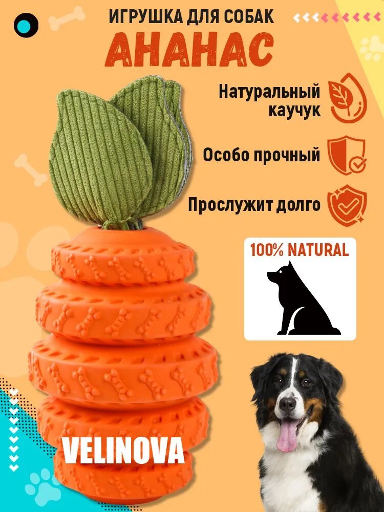 Игрушка для собак из натурального каучука Шина, прочная как шина, для чистки зубов, массирует десны, 18 см, VELINOVA