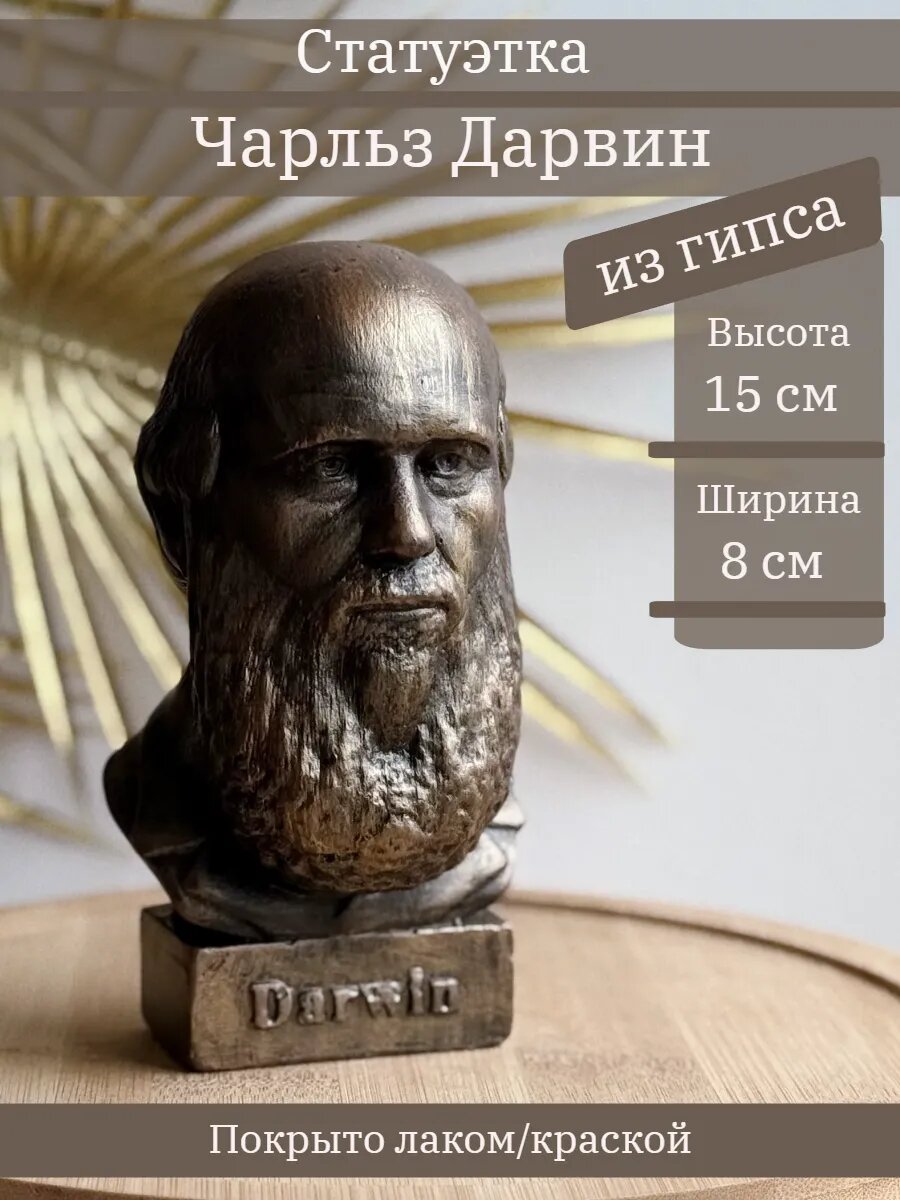 Статуэтка бюст Чарльза Дарвина, 15 см, из гипса, ручная работа, в цвете