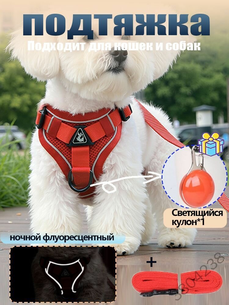 Шлейка