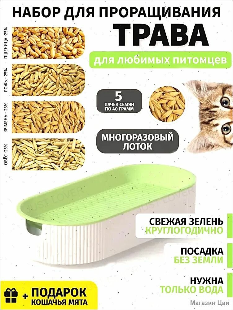 Миска для животных