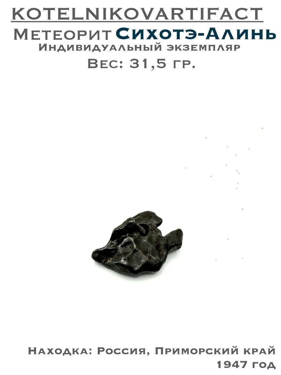 Сихотэ-Алинь метеорит - 31,5 гр.