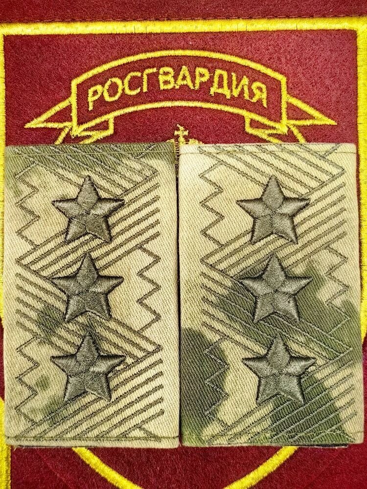 Фальш погоны Росгвардии генерал-полковник полевые мох