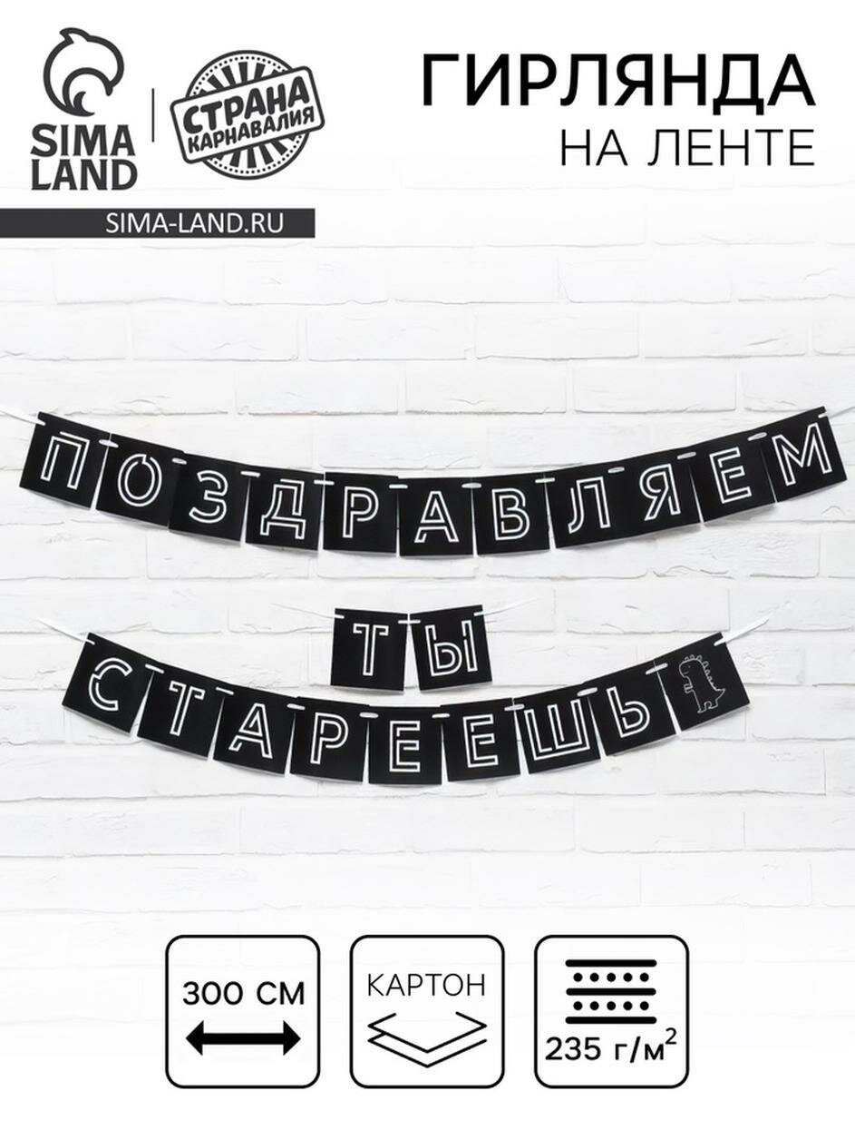 Гирлянда Страна Карнавалия "Поздравляем, ты стареешь", для помещения, 300см, картон, черная