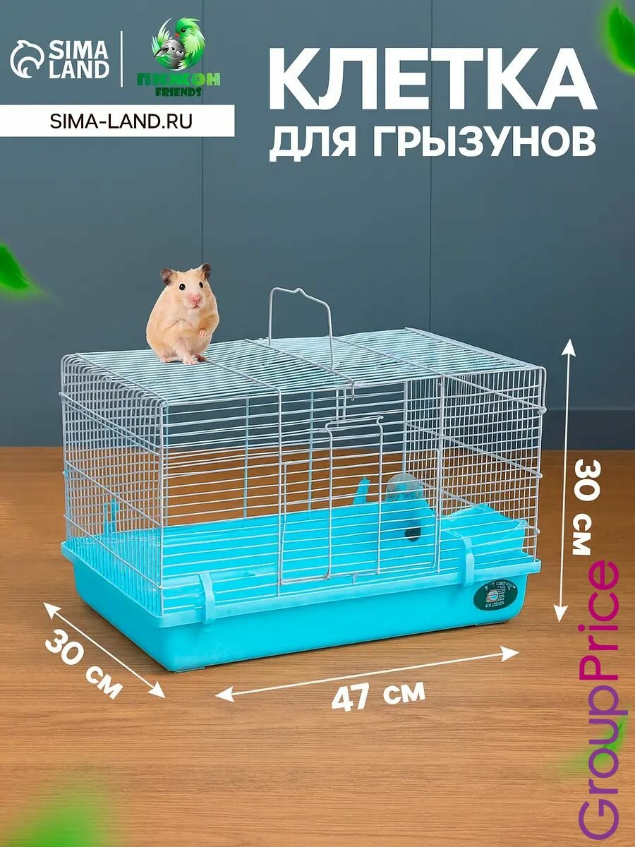 Клетка для грызунов Пижон