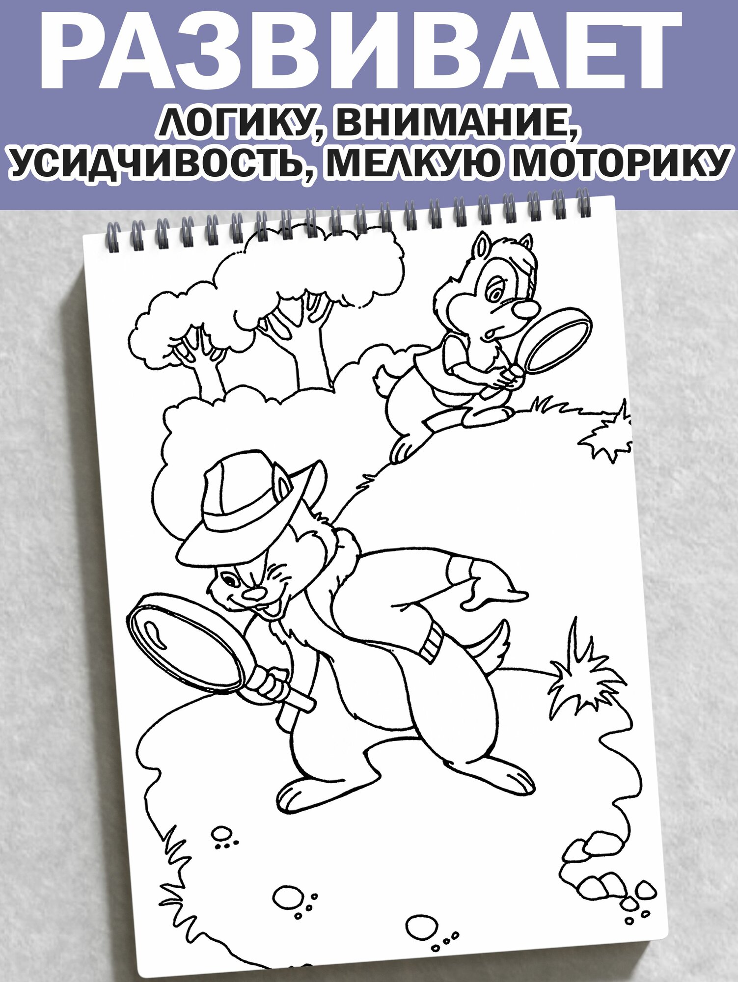 Раскраска Чип и Дейл — фото 1