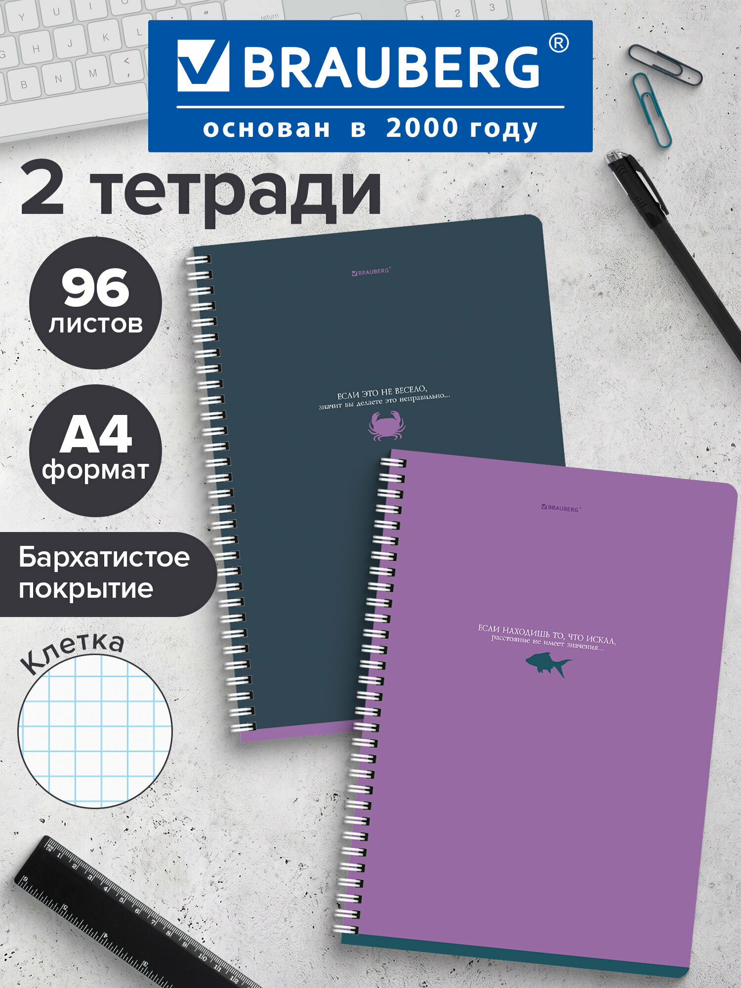Тетрадь А4 в клетку 96 листов на пружине общая, набор 2 штуки, обложка Soft Touch, Brauberg Monocolor, 404647