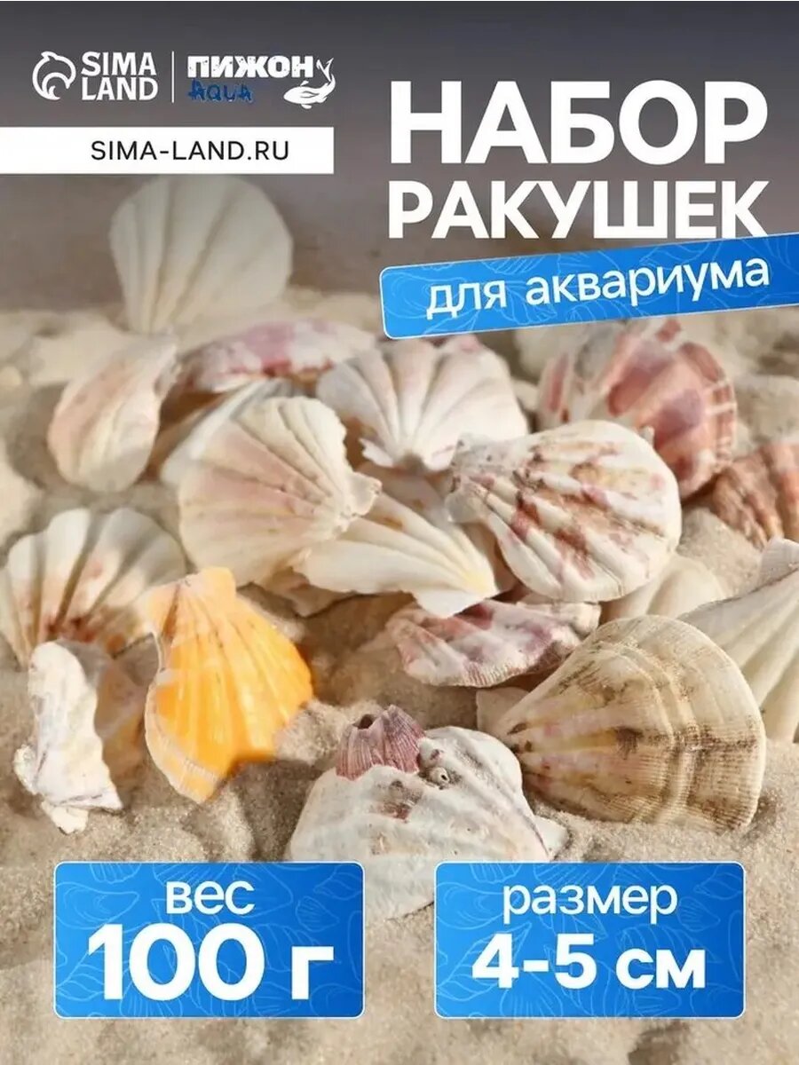 Эстетичный набор ракушек для творчества